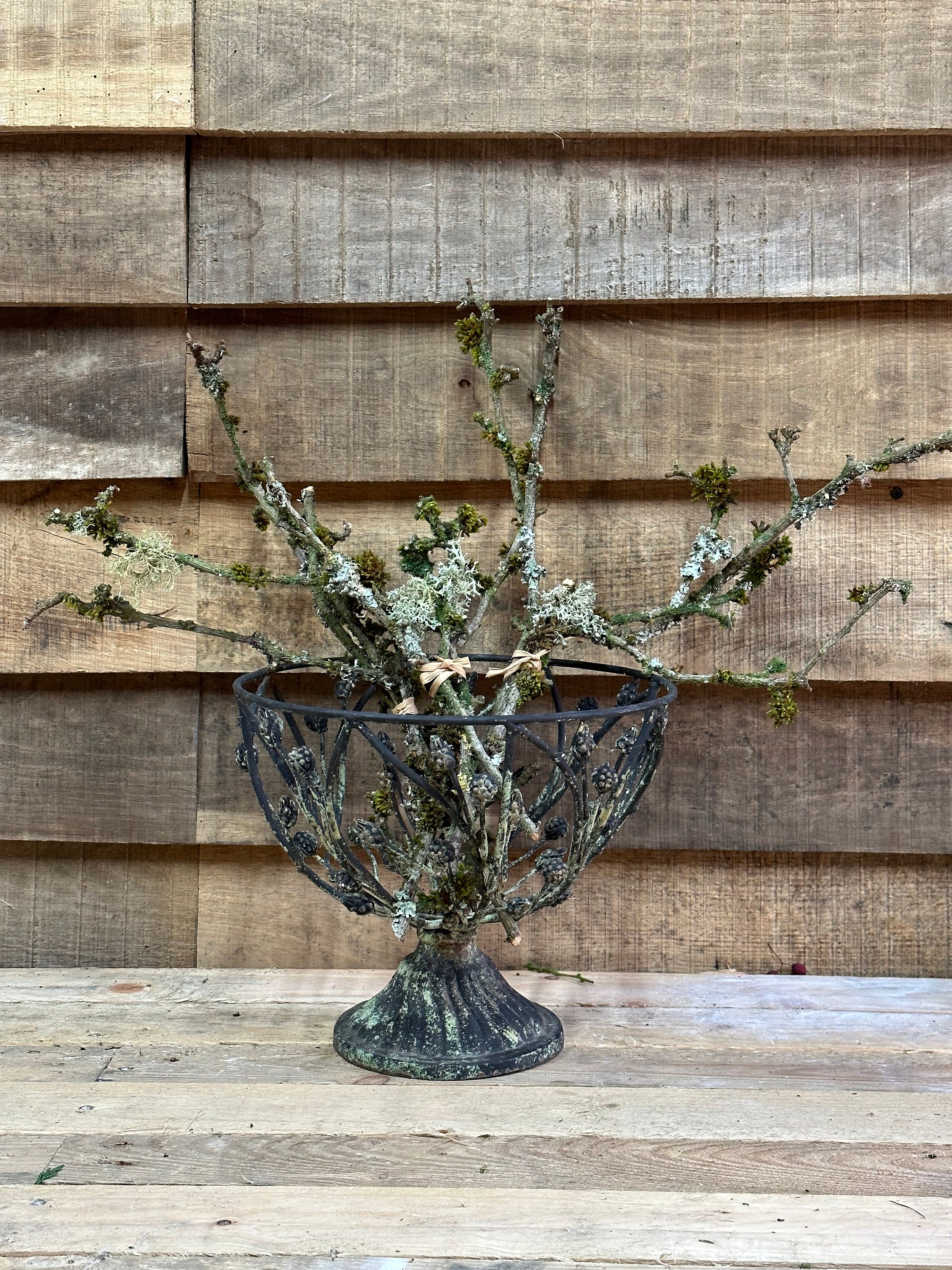 Lichen and Moss Twigs, Natural Lichen and Mossy Branches Suitable for ...