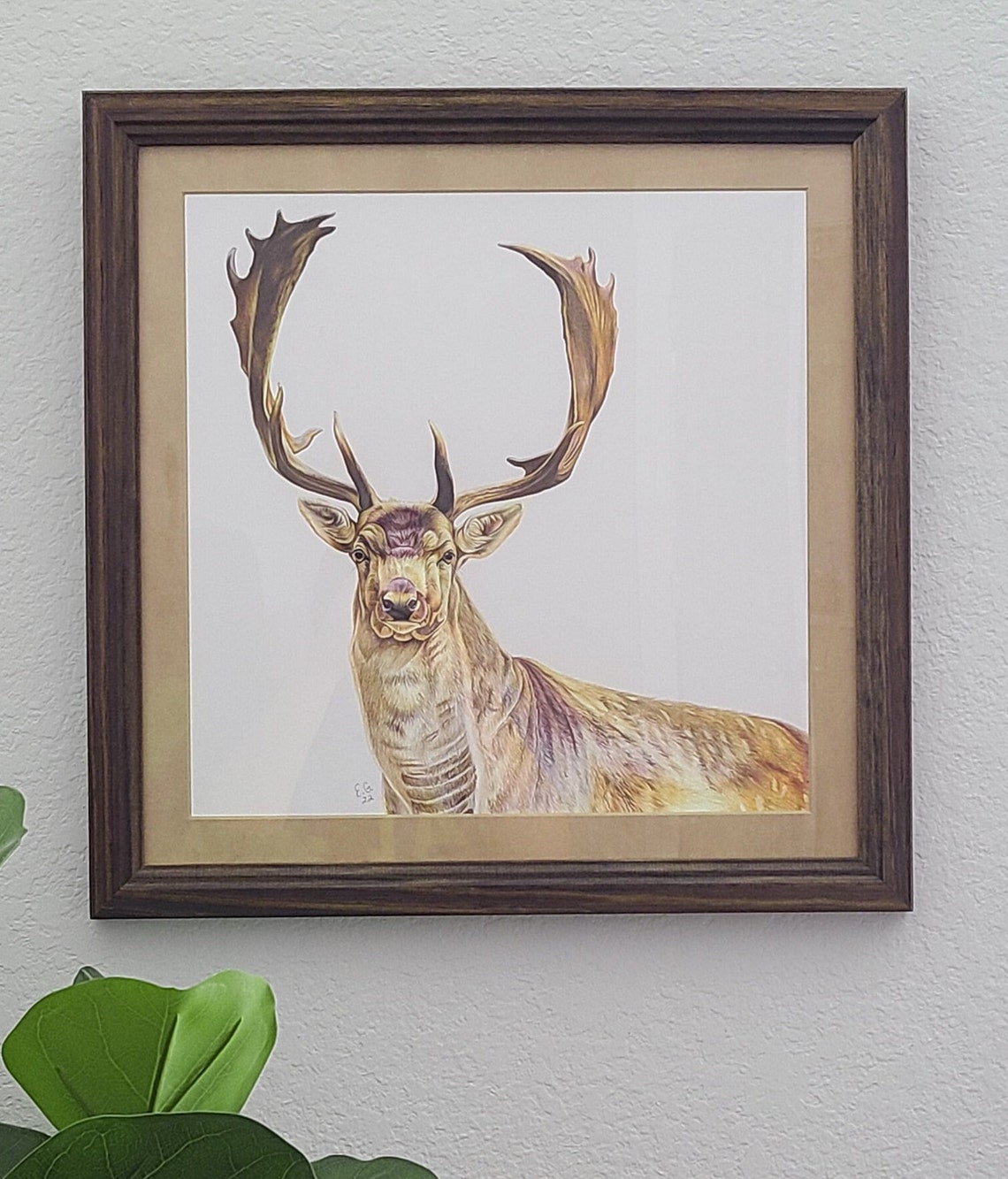 Original Colored Pencil Drawing of a Fallow Deer - Etsy