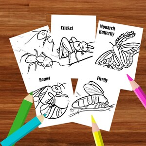 the very quiet cricket coloring pages
