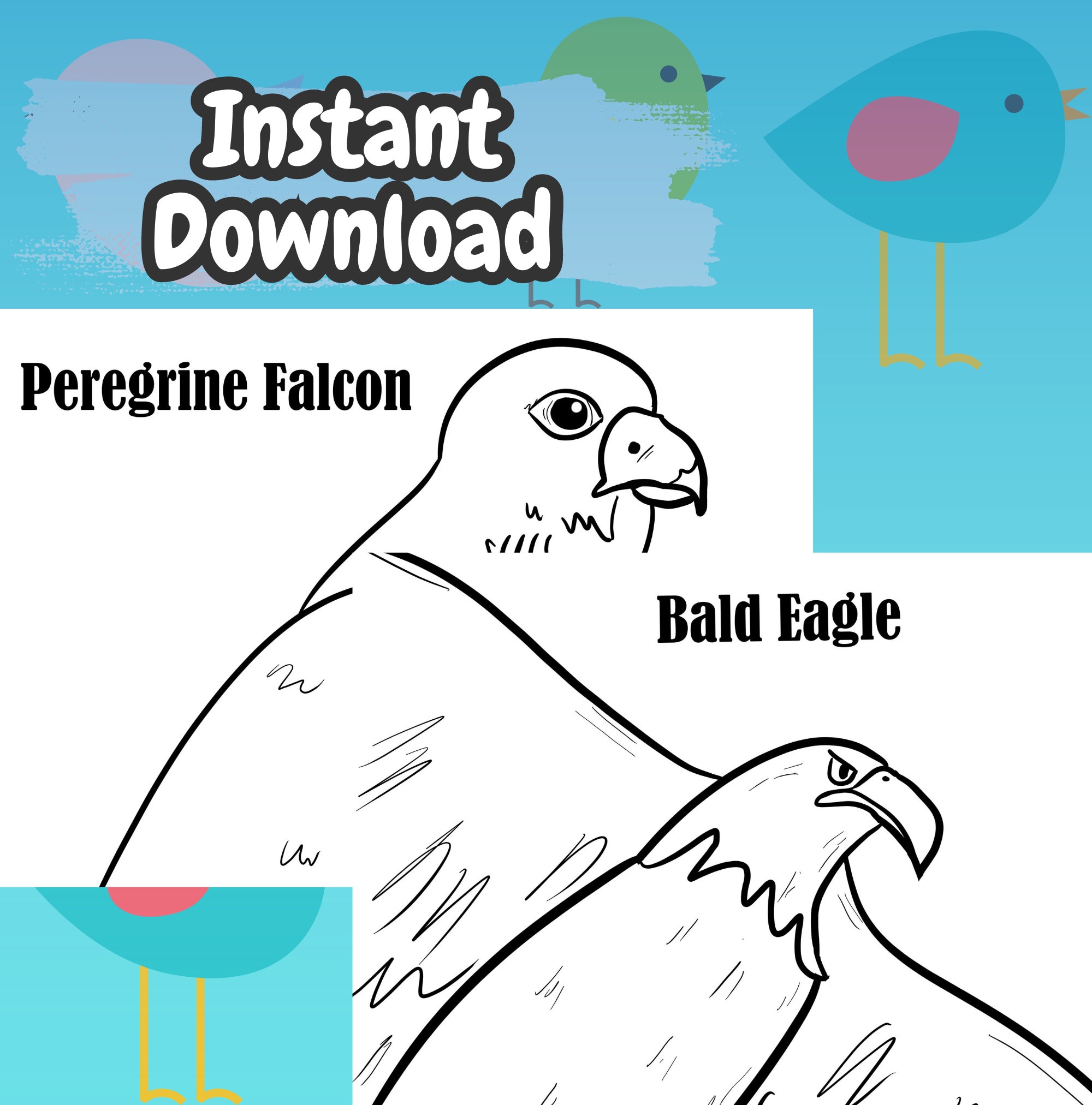 20 Wild Bird Coloring Activity Pages, Easy Animal Coloring Booklet for ...