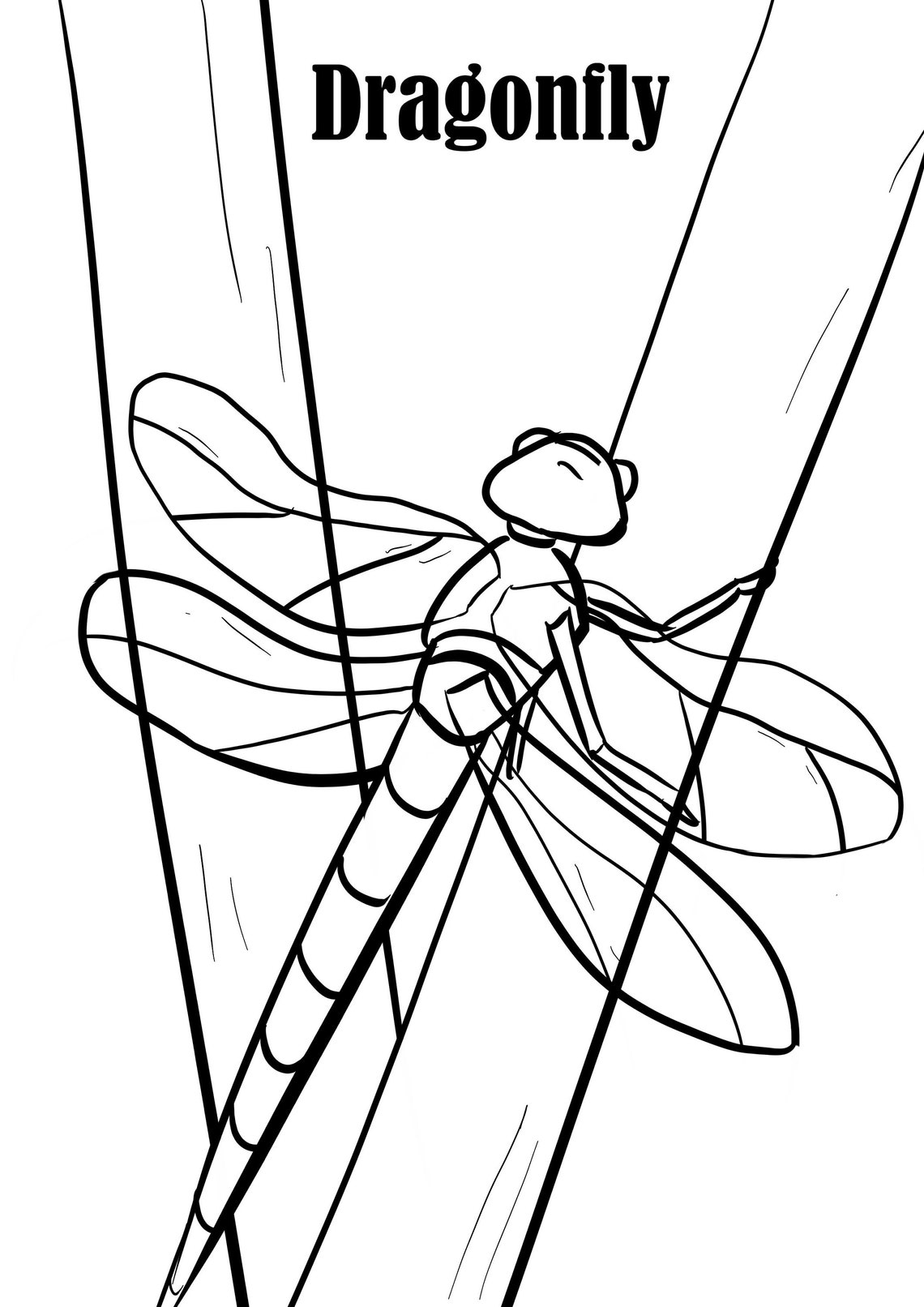 Printable Bug and Insect Coloring Pages, Easy and Fun Coloring ...