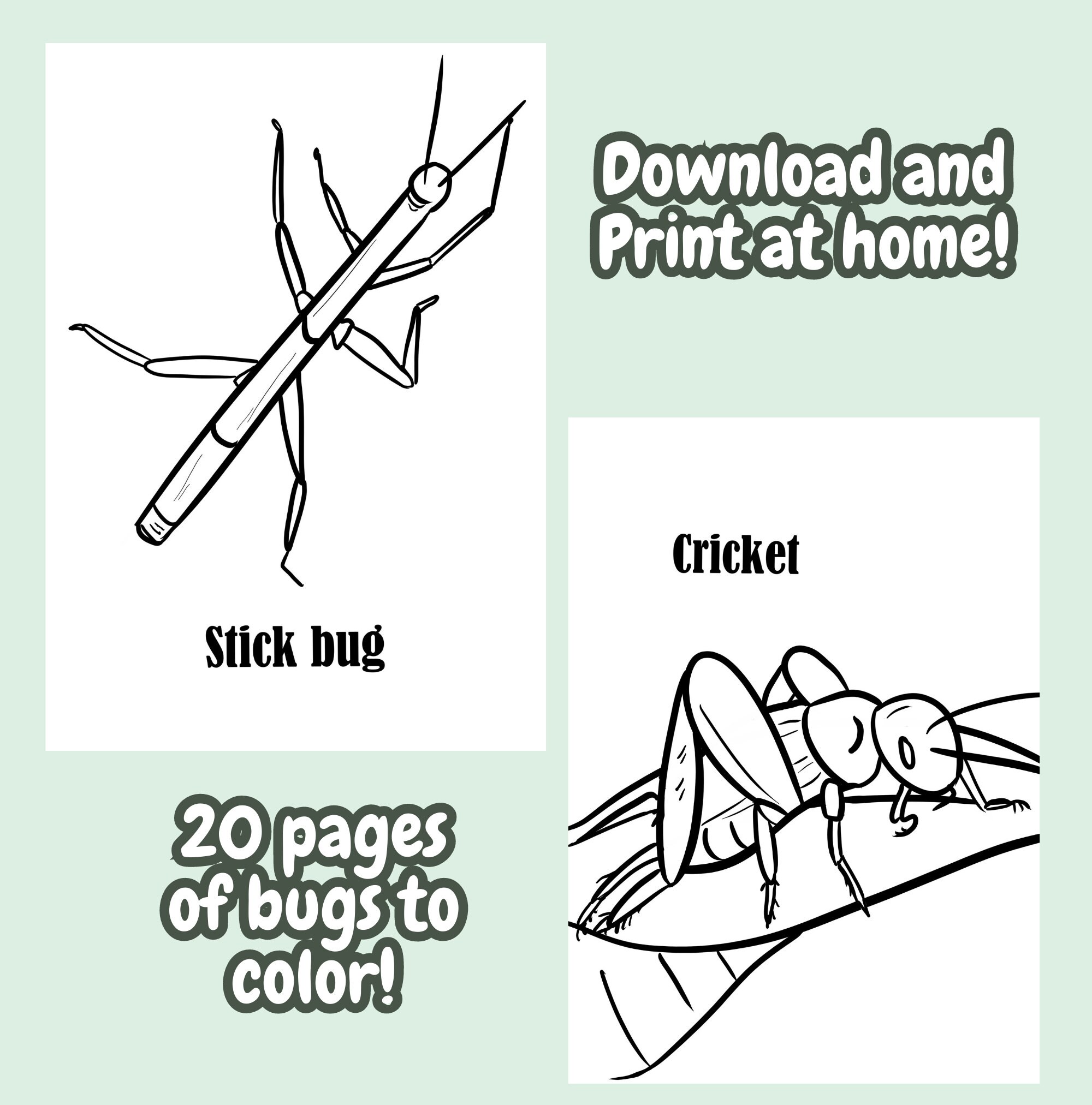 Printable Bug and Insect Coloring Pages, Easy and Fun Coloring ...
