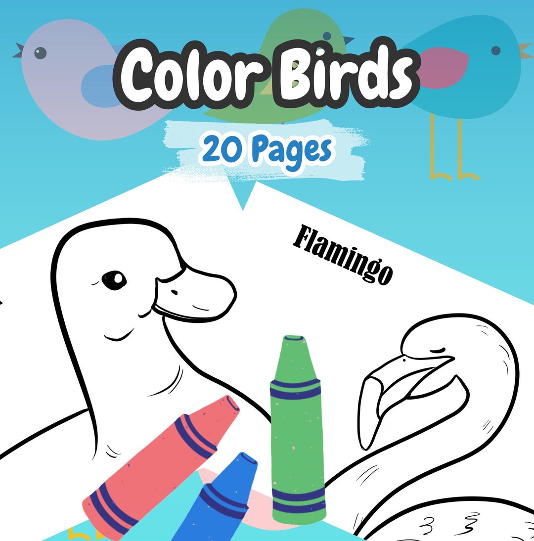 20 Wild Bird Coloring Activity Pages, Easy Animal Coloring Booklet for ...