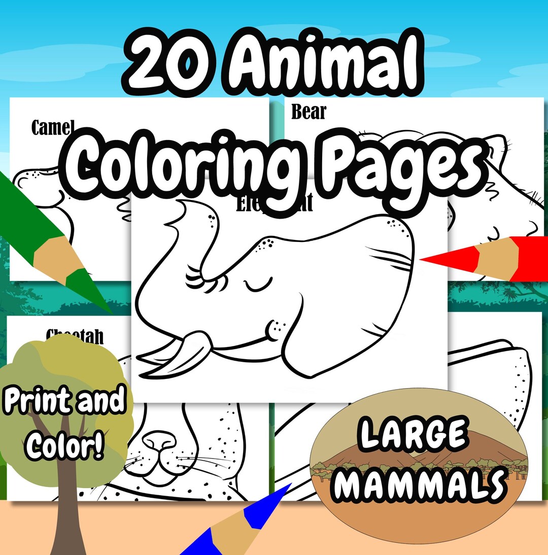 Easy Animal Coloring Pages for Kids, Instant Digital Download, 20 ...