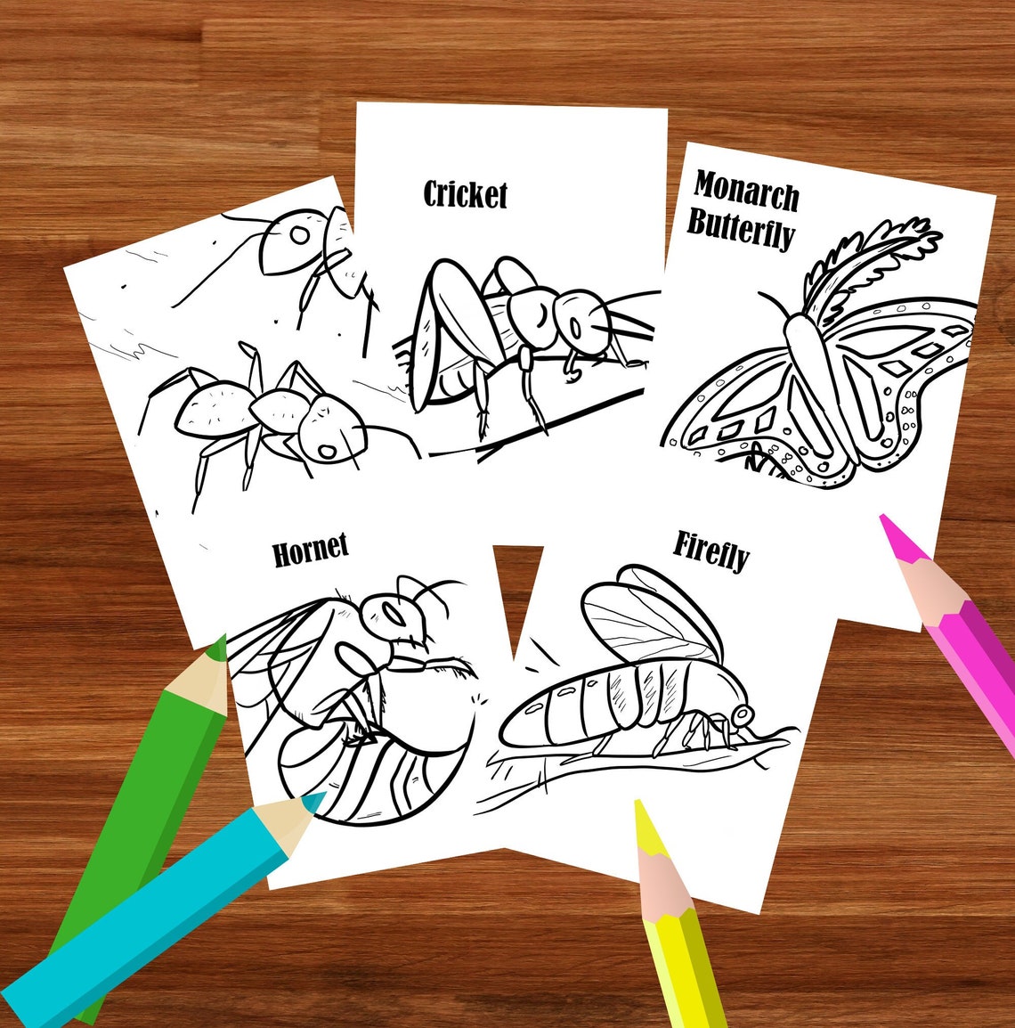 Printable Bug and Insect Coloring Pages, Easy and Fun Coloring ...