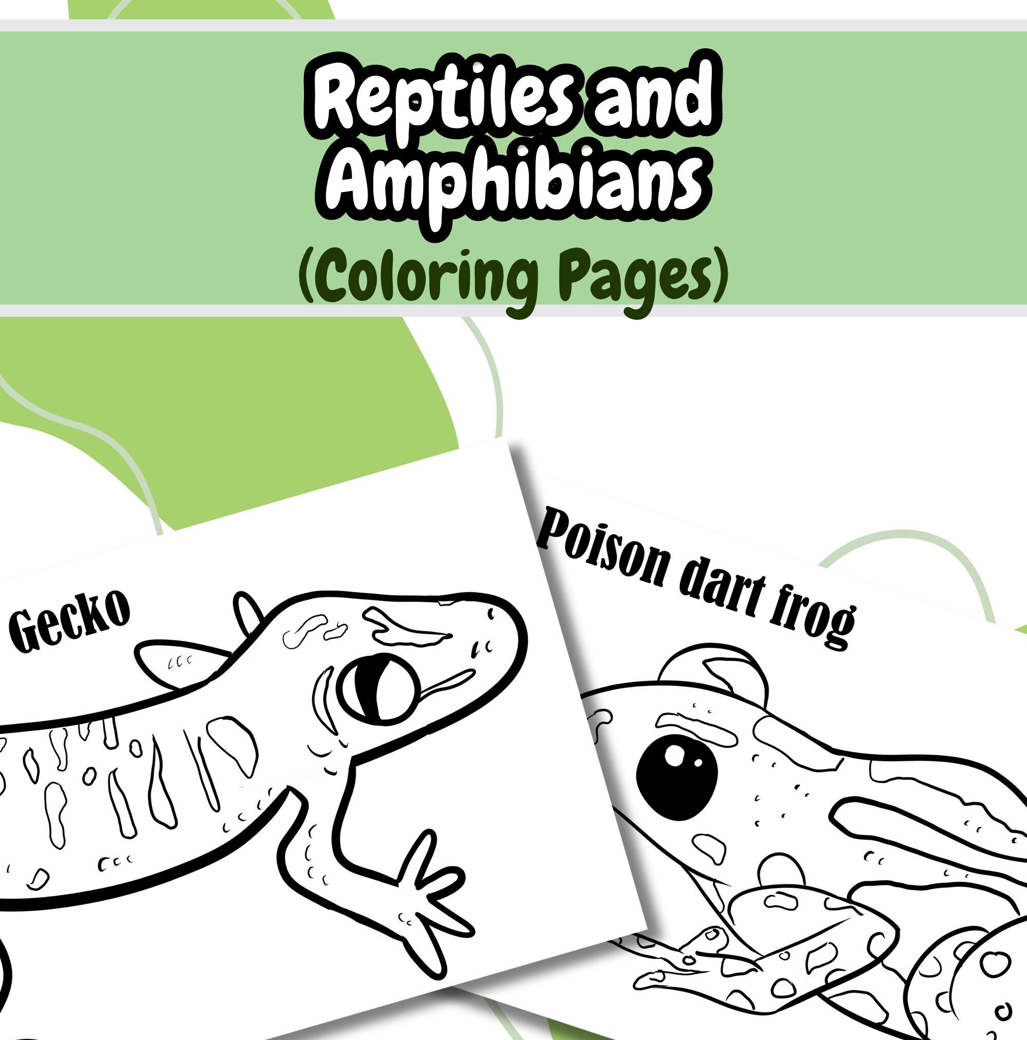 Coloring Pages Of Reptiles And Amphibians
