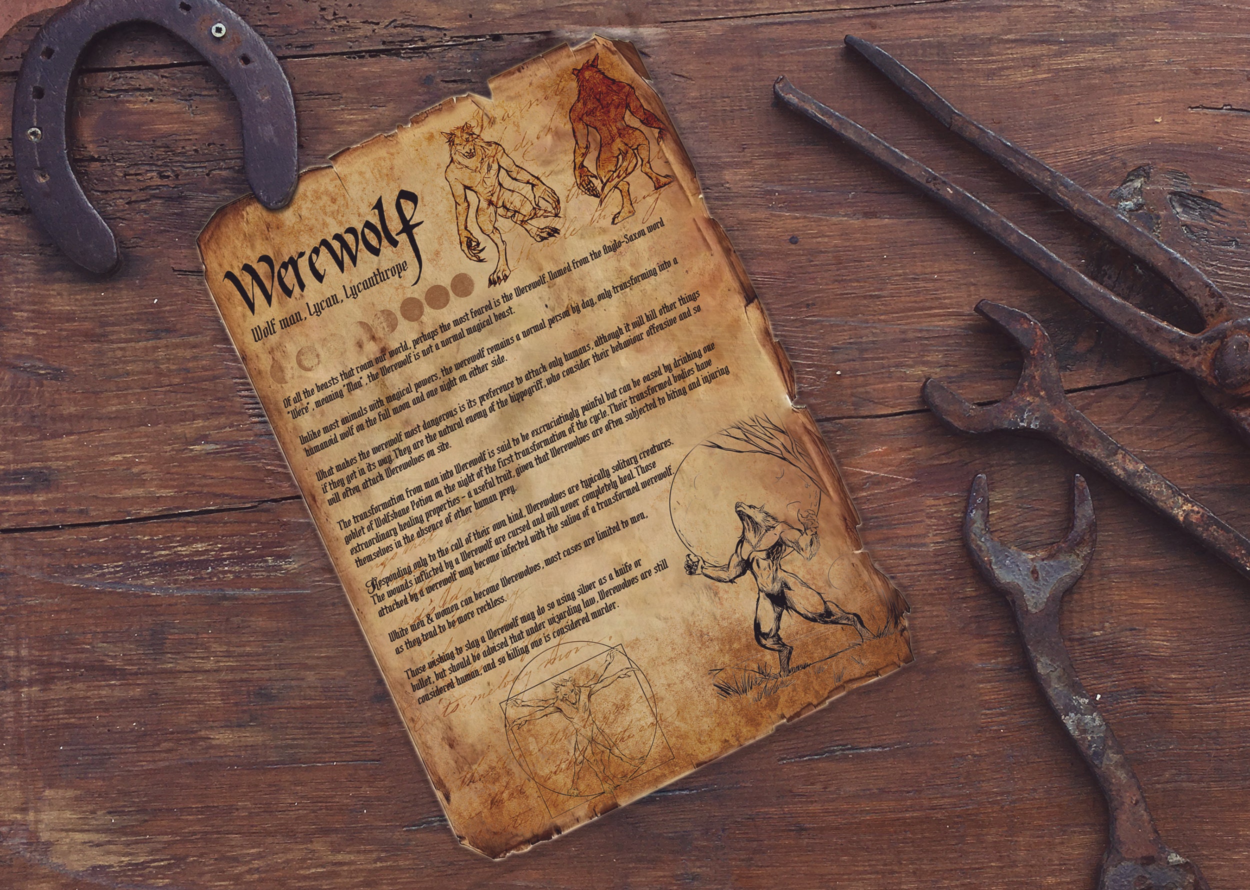 Werewolf | Werewolf Poster | Instant Download | Digital Download ...