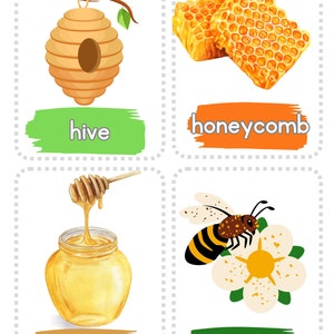 Bee Flashcards - Etsy