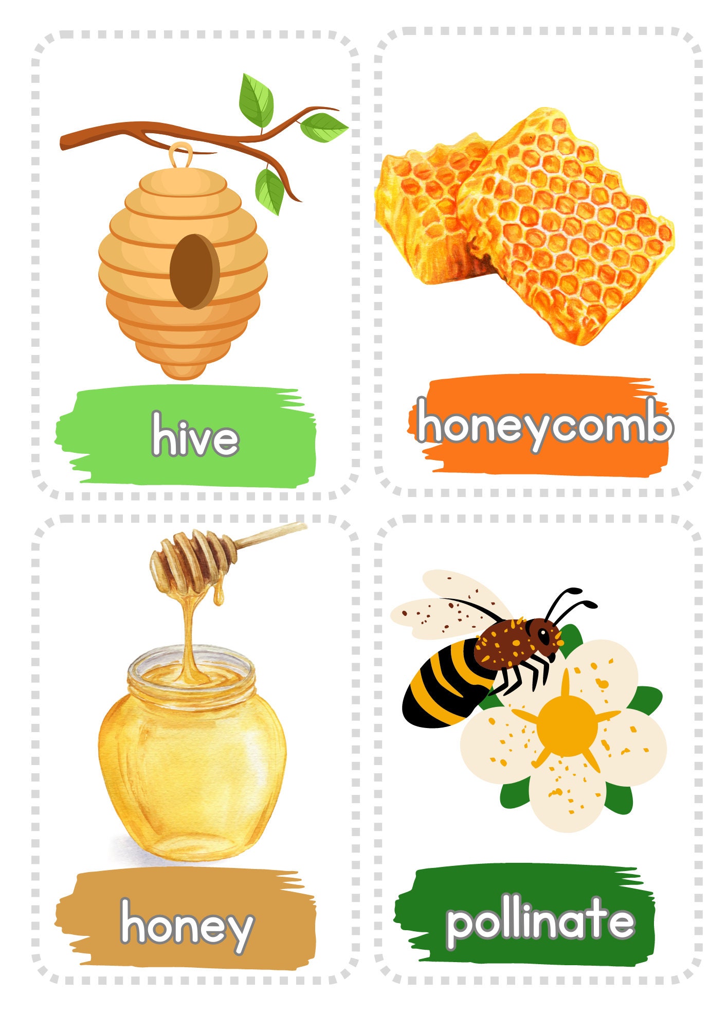 Bee Flashcards - Etsy