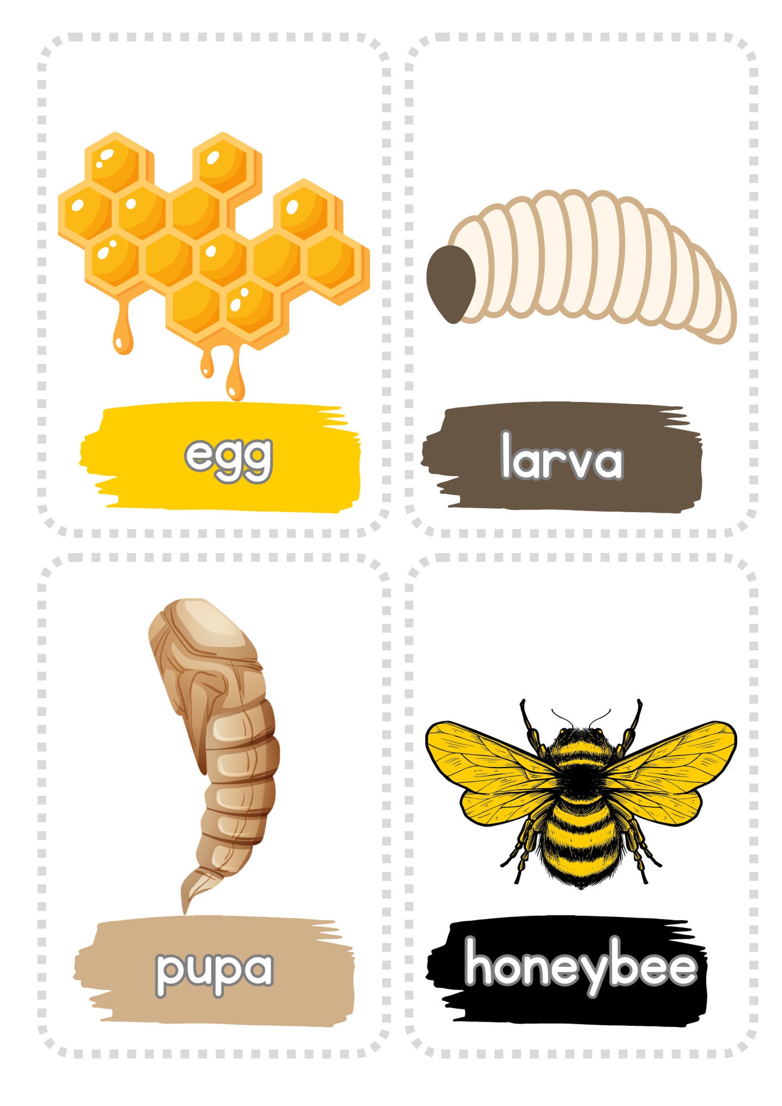 Bee Flashcards - Etsy