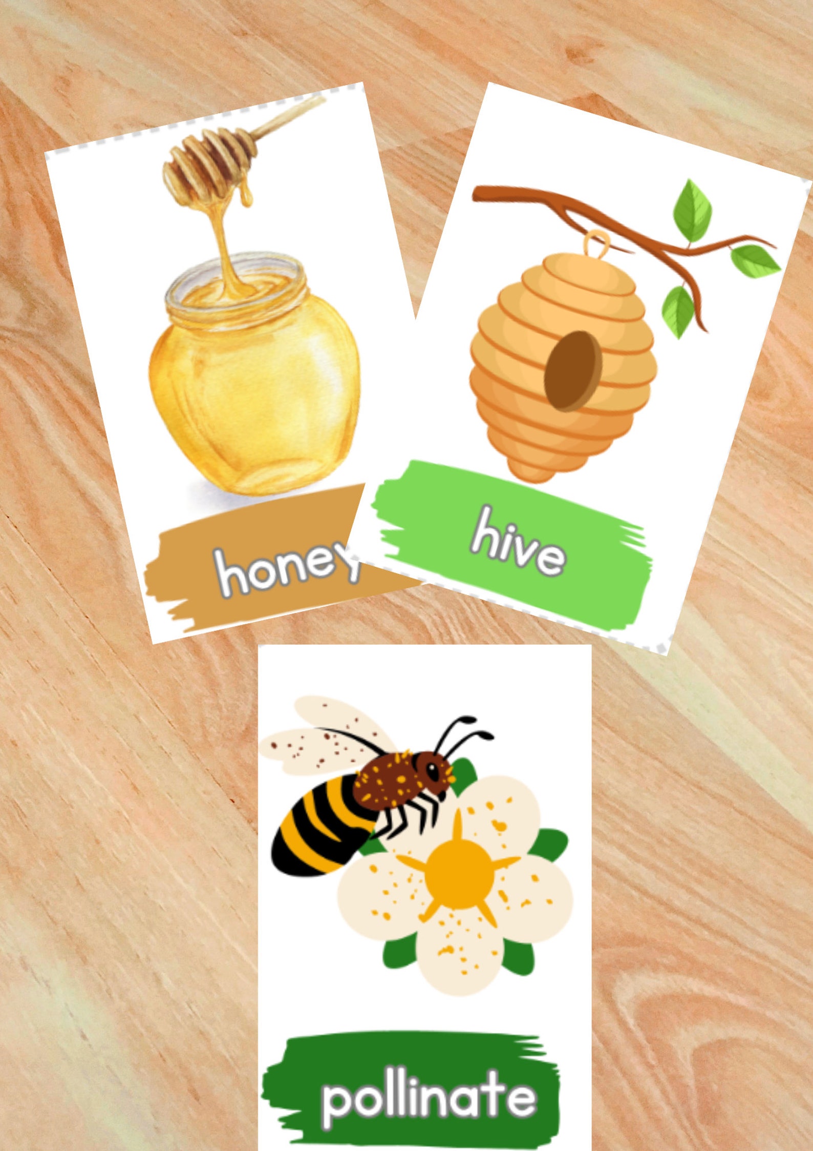 Bee Flashcards - Etsy