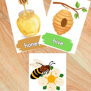 Bee Flashcards - Etsy