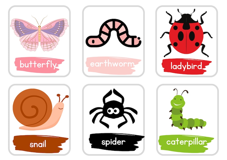 Minibeast Flash Cards - Etsy