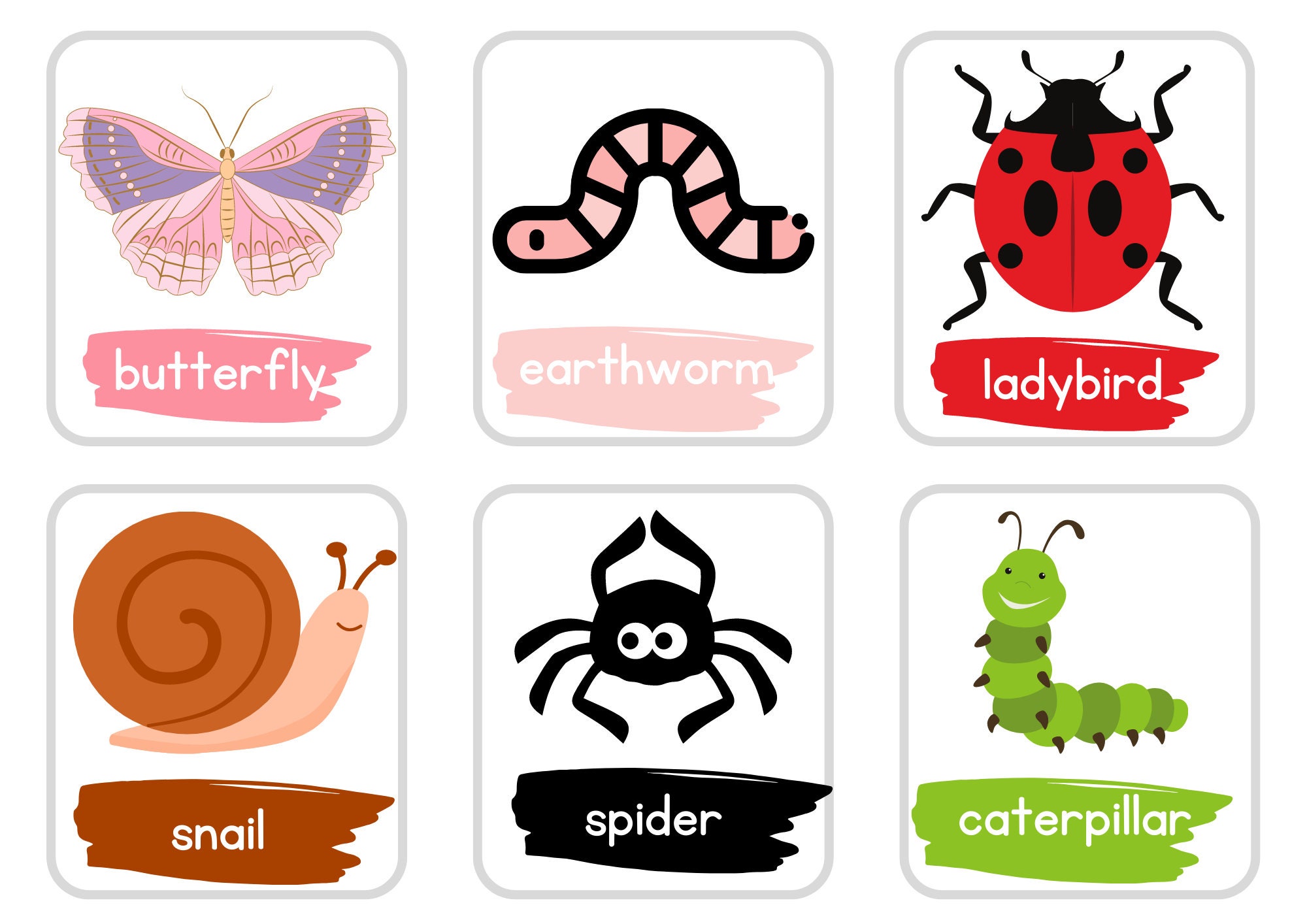 Minibeast Flash Cards - Etsy