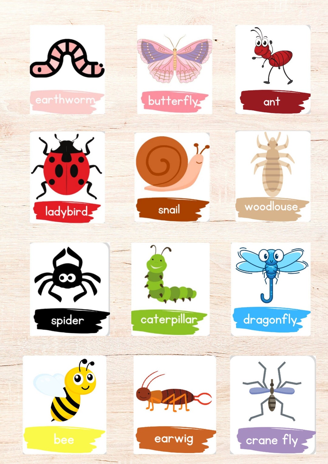 Minibeast Flash Cards - Etsy