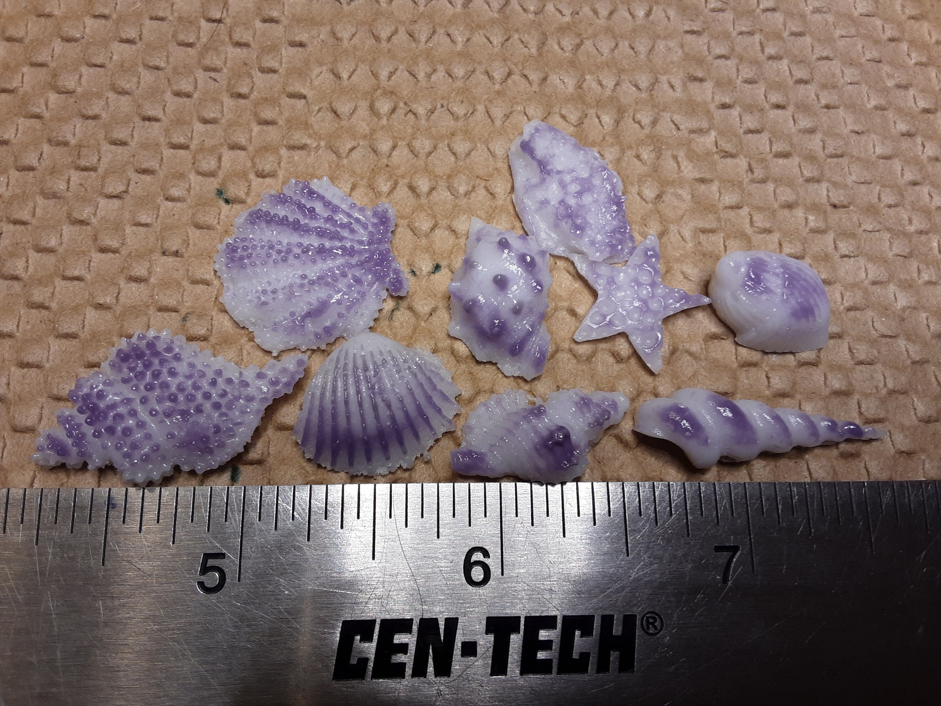 90 Coe Fused Glass Seashells Fusing Embellishments Mosaic - Etsy