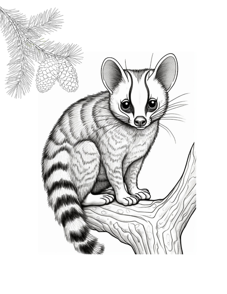 40 Printable Animal Coloring Pages for Any Age, Printable Coloring Book ...
