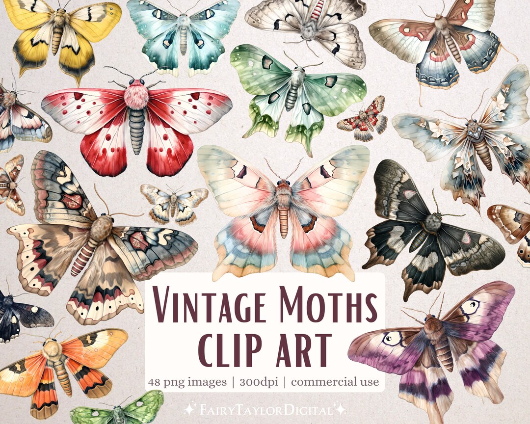 48 Vintage Moths PNG Clipart, Transparent Background | Instant Download ...