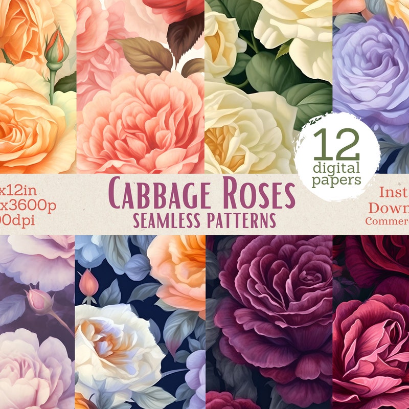 Cabbage Roses - Etsy
