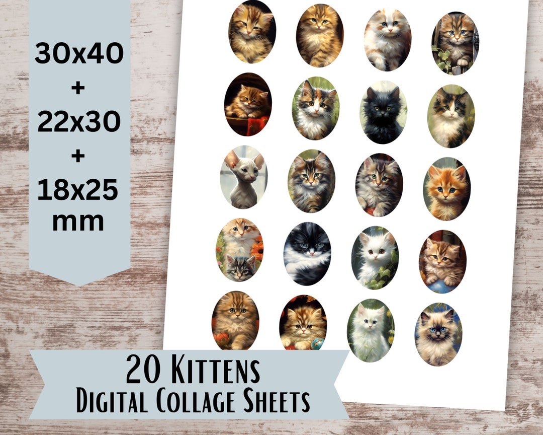 Kittens Digital Collage Sheets, Cabochon Images, Oval Collage Sheet ...