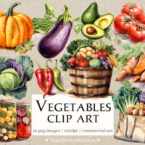 36 Vegetables PNG Clipart | Transparent Background | Instant Download ...