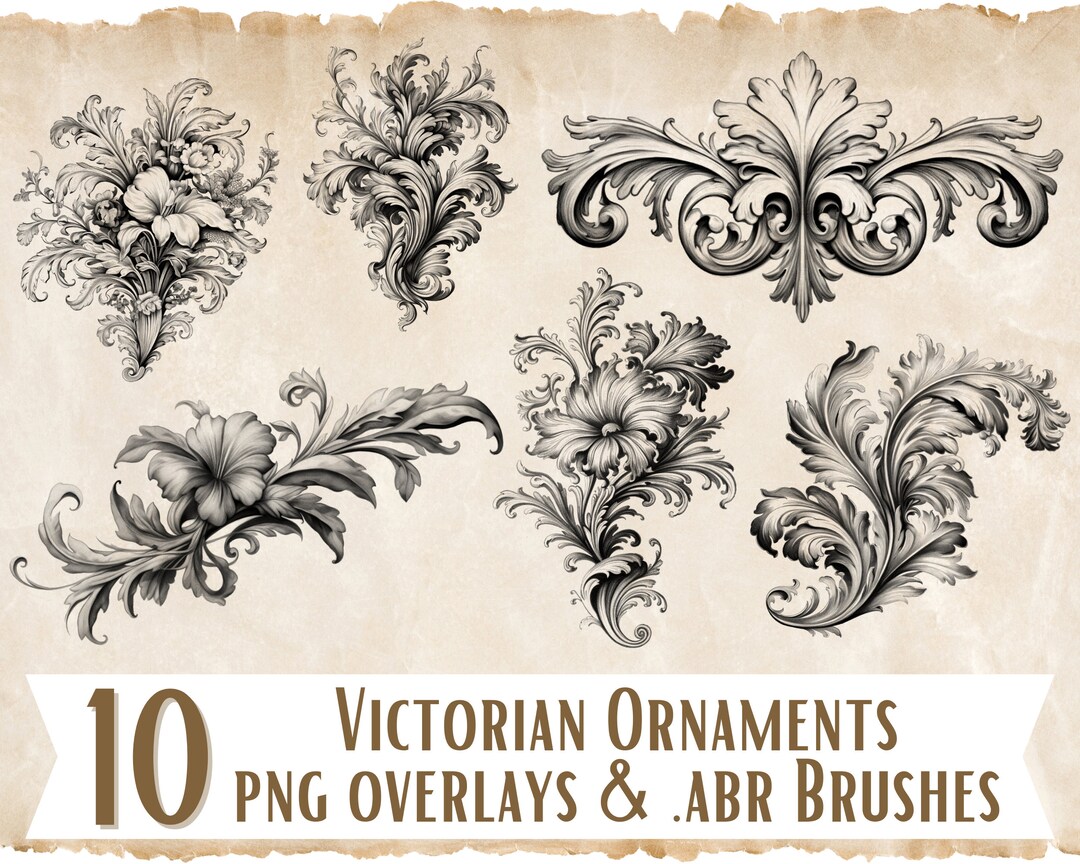 Victorian Ornaments PNG Overlays and Brushes | Photoshop, Procreate ...