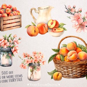 36 Peaches PNG Clipart Transparent Background Instant Download ...