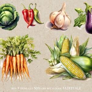 36 Vegetables PNG Clipart | Transparent Background | Instant Download ...