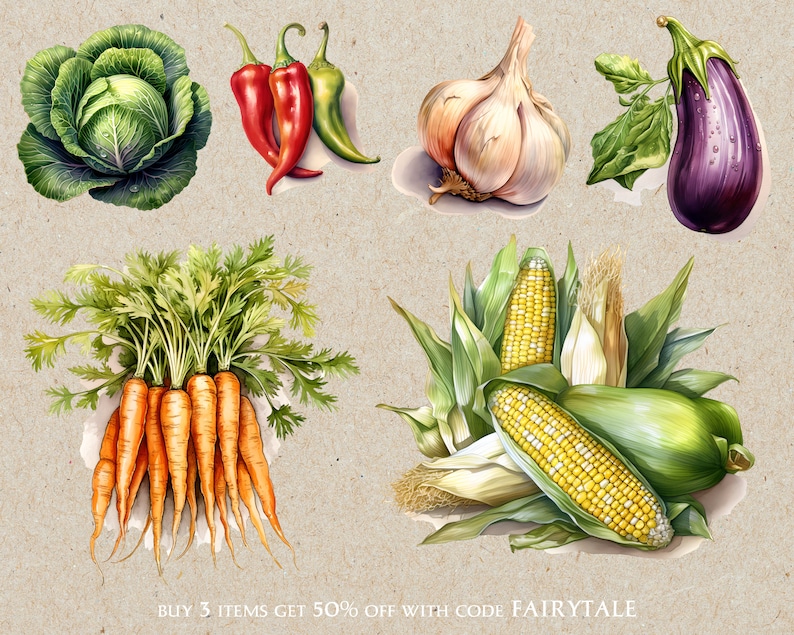 36 Vegetables PNG Clipart Transparent Background Instant - Etsy