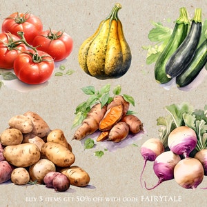 36 Vegetables PNG Clipart | Transparent Background | Instant Download ...