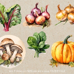 36 Vegetables PNG Clipart | Transparent Background | Instant Download ...