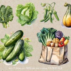 36 Vegetables PNG Clipart | Transparent Background | Instant Download ...