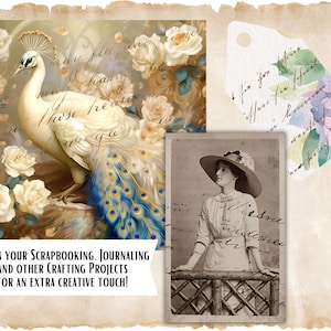 Vintage Handwriting Overlays, 33 Transparent PNG Antique Calligraphy ...