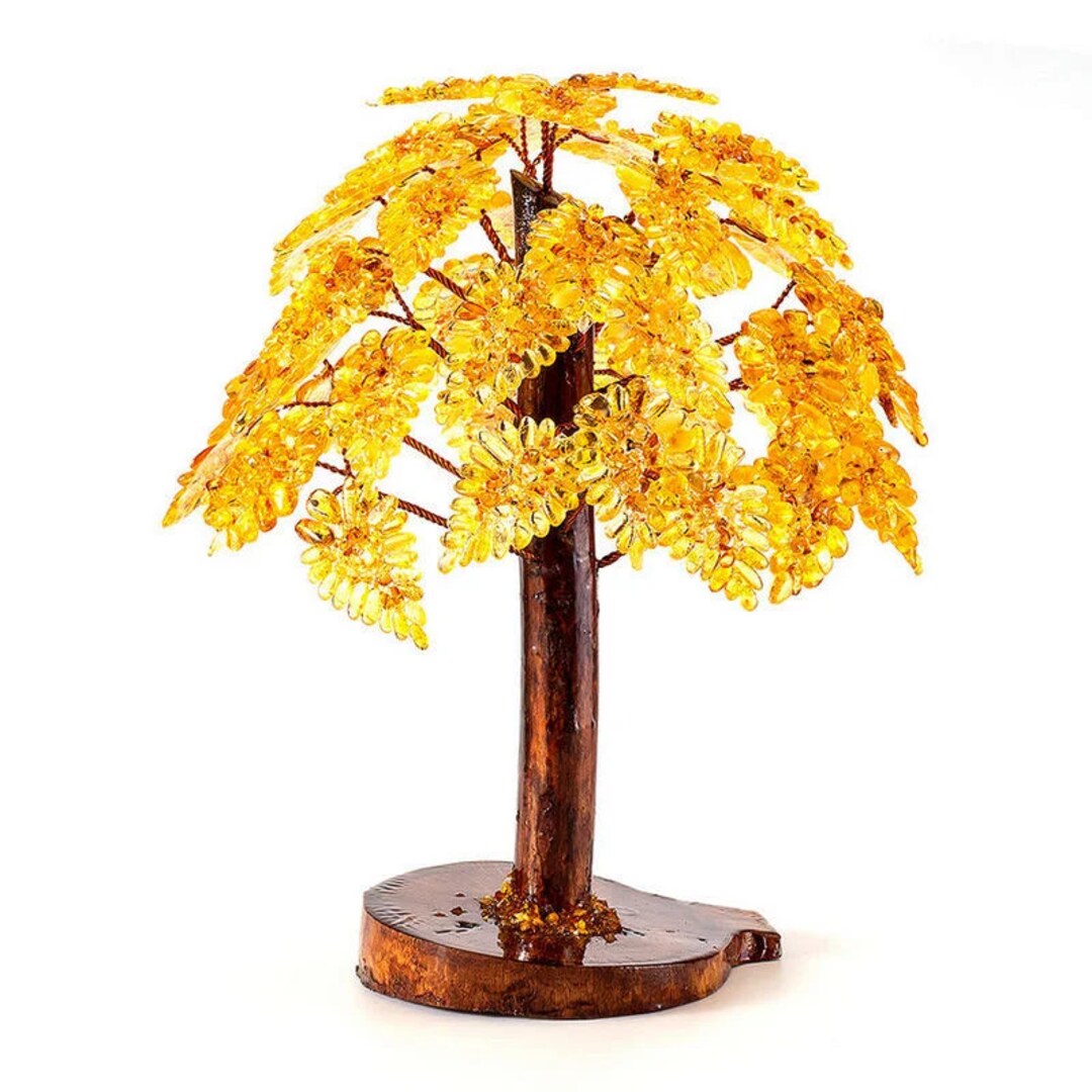 Money Tree Decorated With Large Pebbles of Natural Amberthe - Etsy
