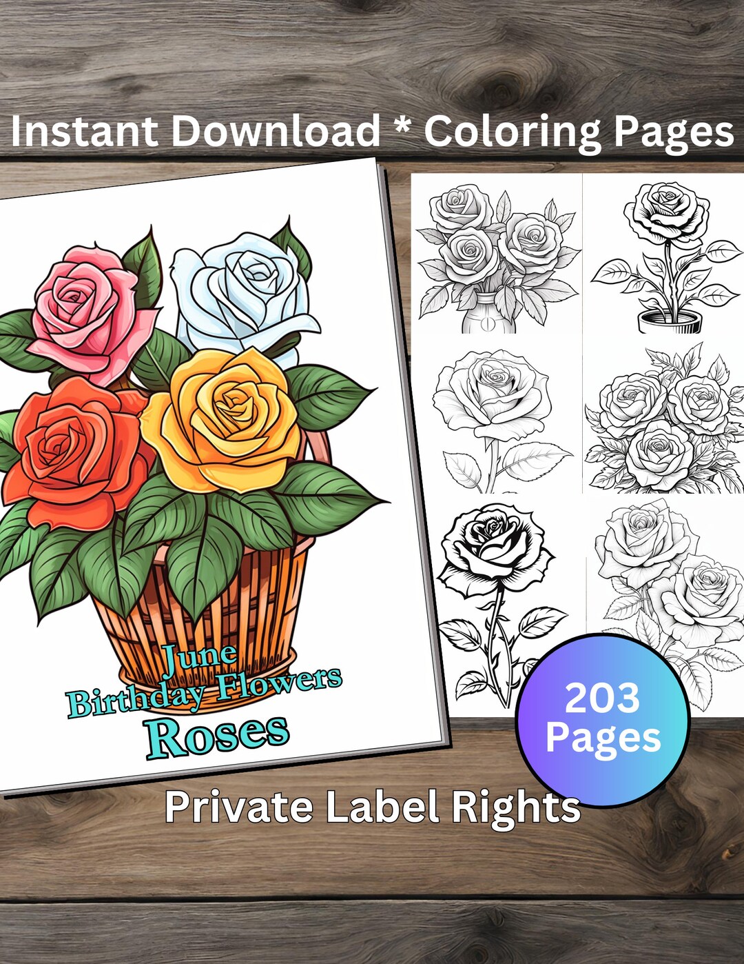 203 June Birthday Flower Roses Coloring Book Pages Amazon KDP PLR ...