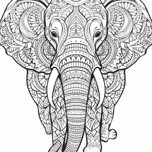 52 Animal Patterns Coloring Book Pages Printable Edit in Canva PNG JPG ...