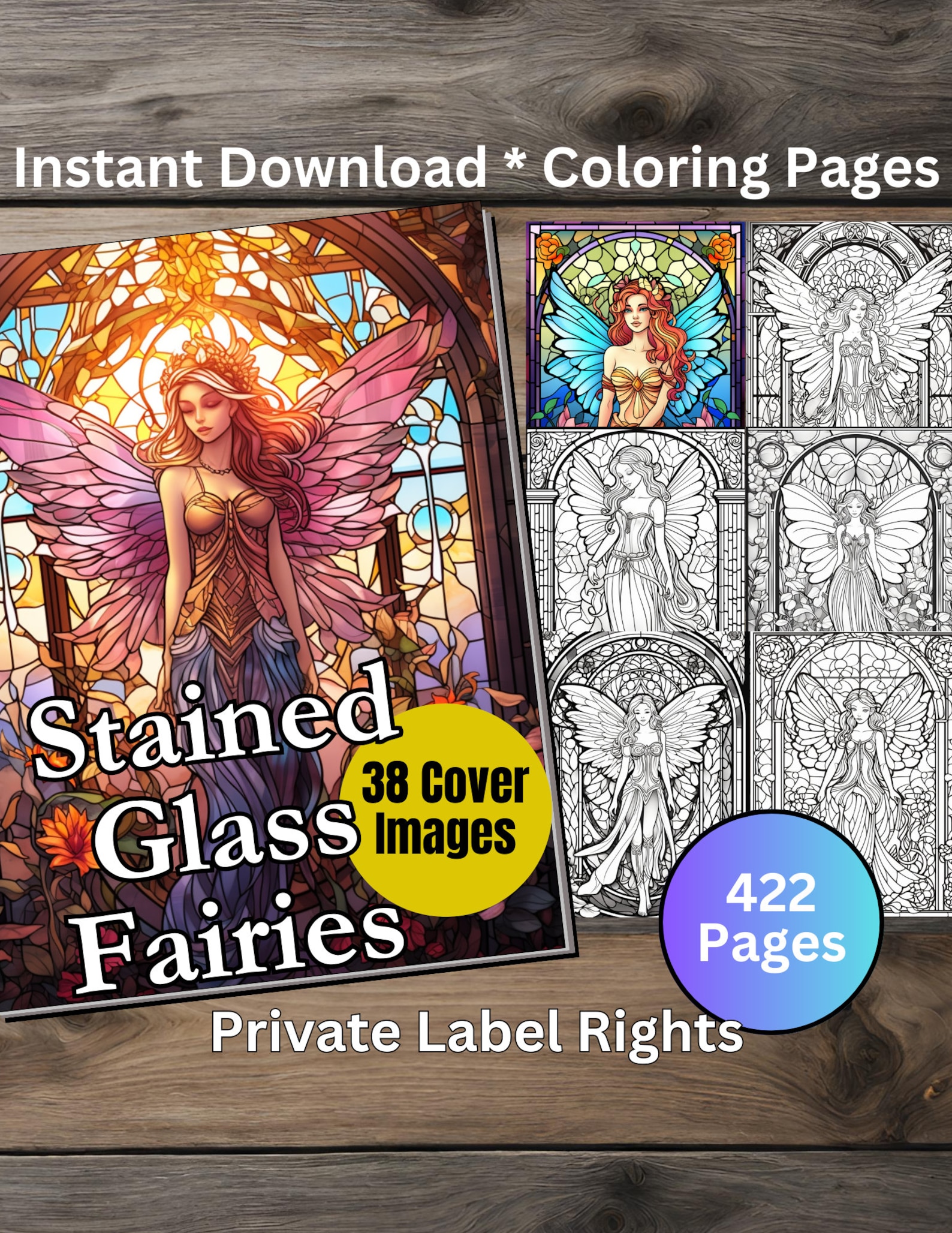 Coloring Book Art Beautiful Stained Glass Fairies Coloring Pages Plus ...