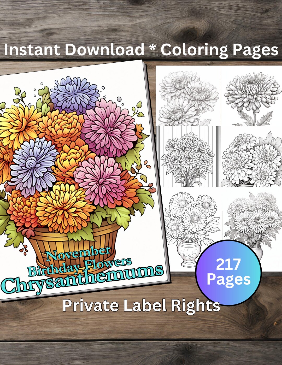 November Birthday Flower Chrysanthemum Coloring Book Pages Amazon KDP ...
