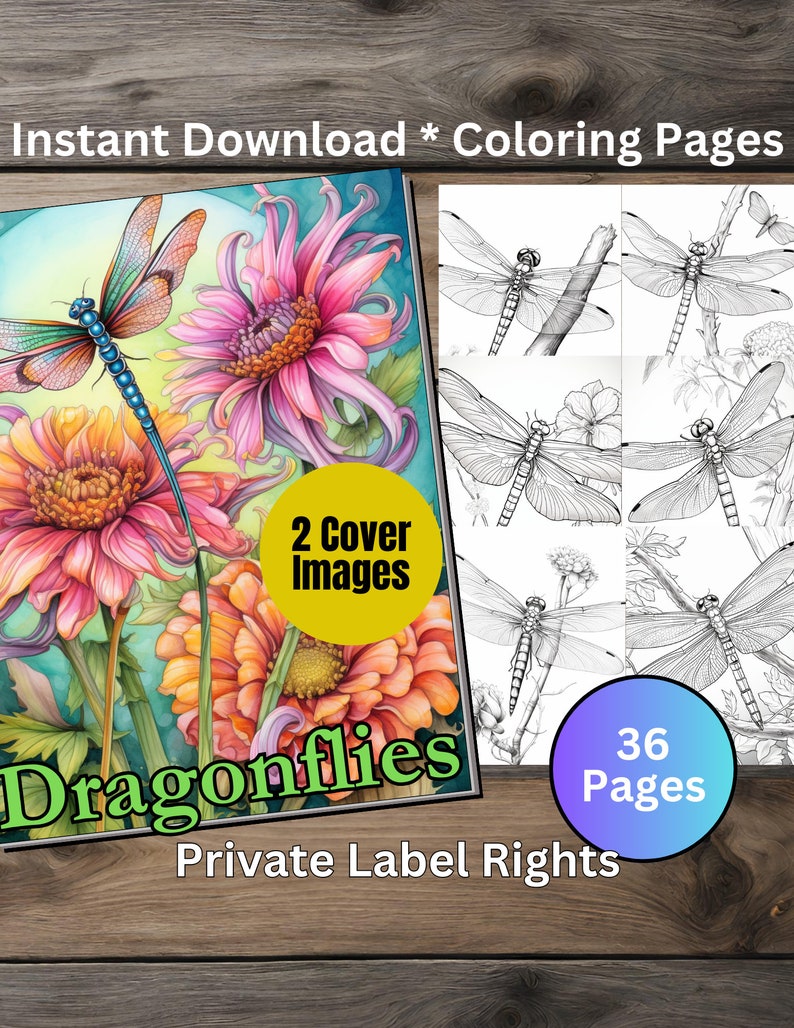 36 Dragonflies Coloring Book Pages Plus 2 Cover Images - Etsy