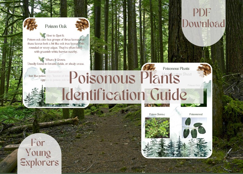 Poisonous Plants Identification Guide for Little Explorers! - Etsy
