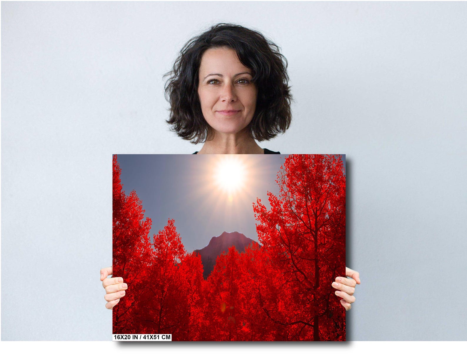 Red Aspen Fall Colors Print, Independence Pass, Colorado Nature Wall ...