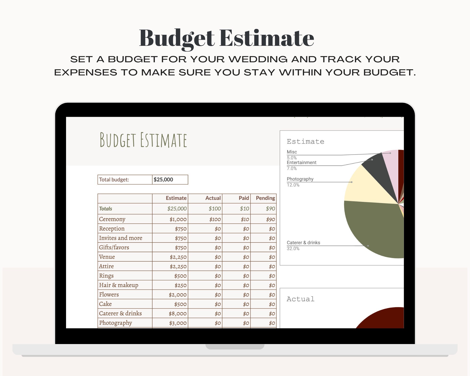 Indian Wedding Planning Spreadsheet Hindu Wedding Planner Template ...
