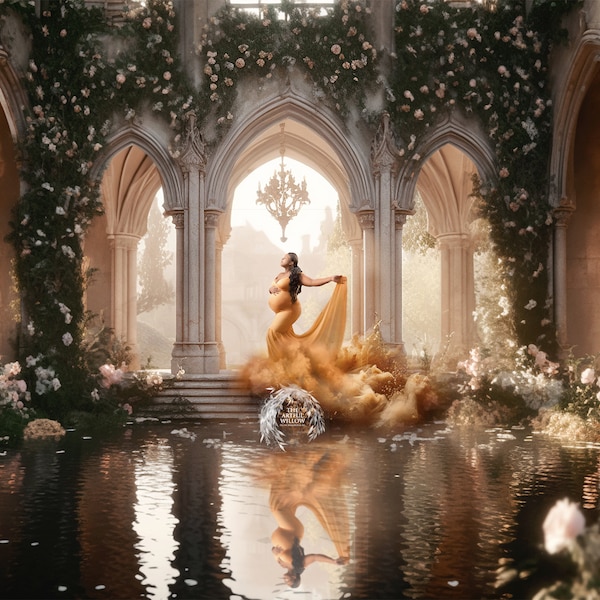 Digital Backdrop - Etsy