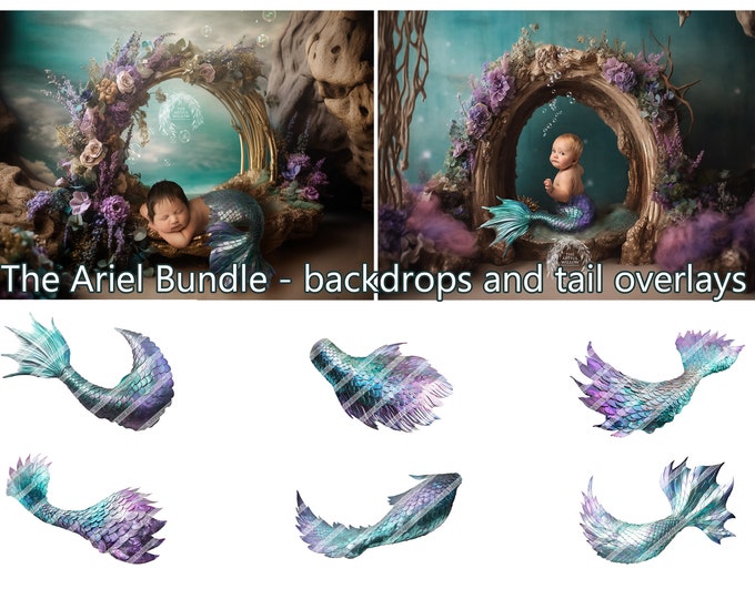 Sea Turtle Photoshop Overlay Bundle in PNG Format sea Turtle ...