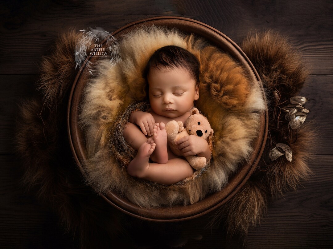 The 'ernest' Digital Backdrop Collection (SET OF 5 Stunning Bowl ...