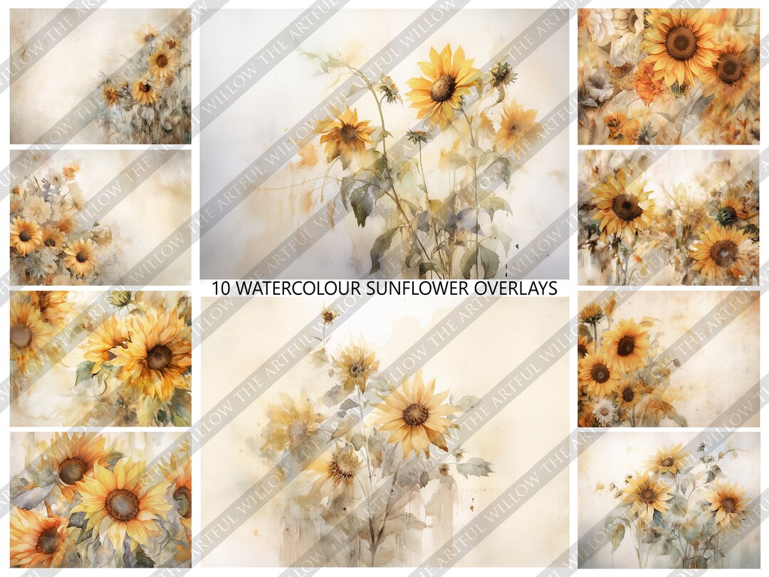 The 'sylvia' Digital Backdrop Overlay Collection (SET OF 10 Stunning ...