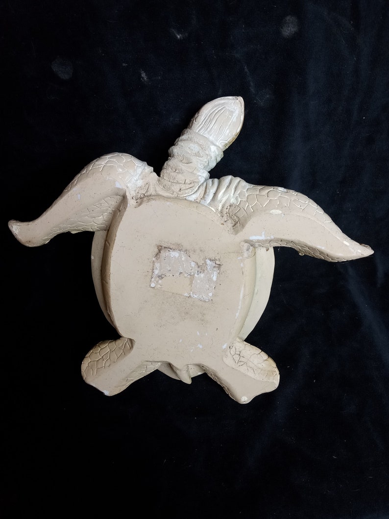 Sea Turtle Decor 10" X 10" With Baby Turtle on Back - Etsy