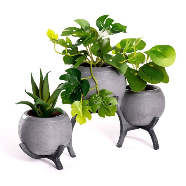 Desk Plant - Etsy