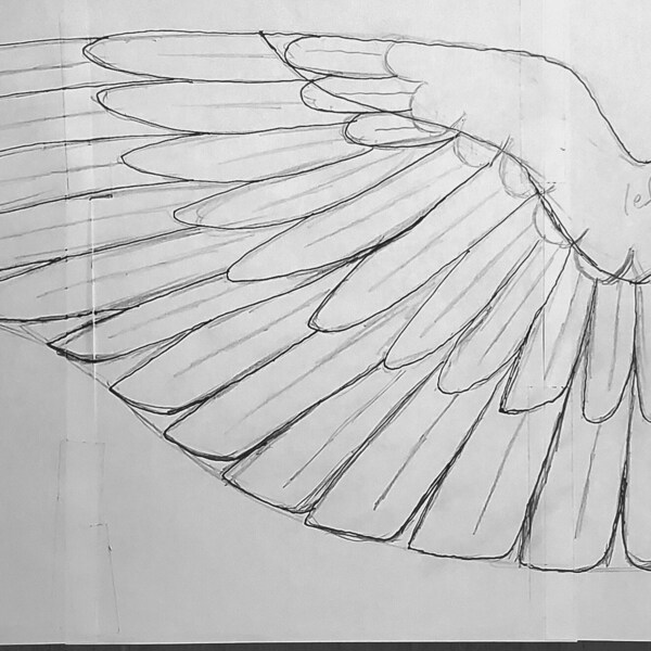 Crow Plush Pattern - Etsy