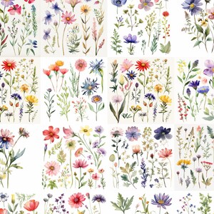 Watercolor Flower Bundle Clip Art Floral Clipart Wedding Clipart Summer ...